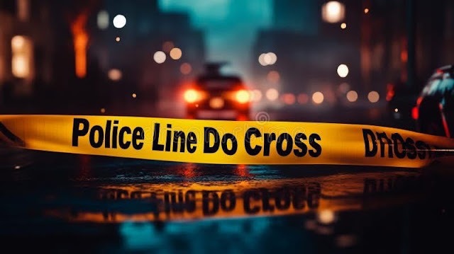 Scott Wentz Plane Death: Scott Wentz Passed Away in Fatal Plane ...